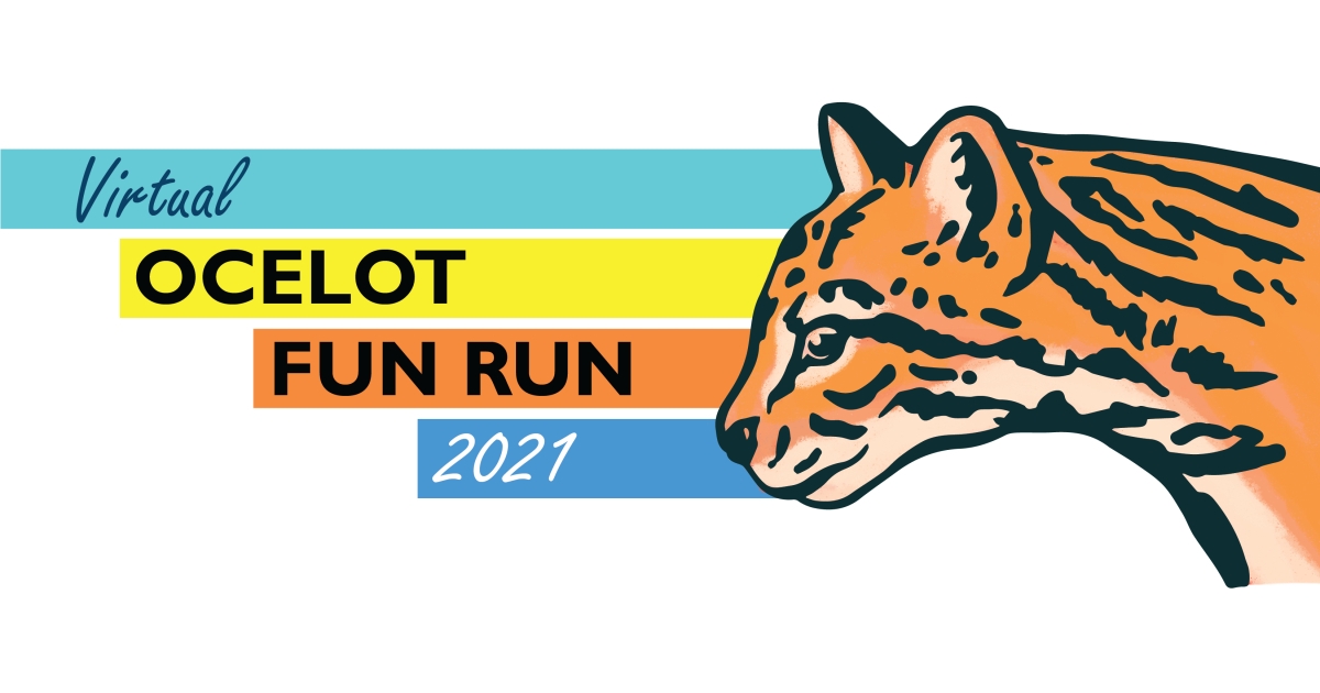 Virtual Ocelot Fun Run