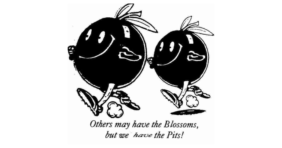 Cherry Pit - 10 miler