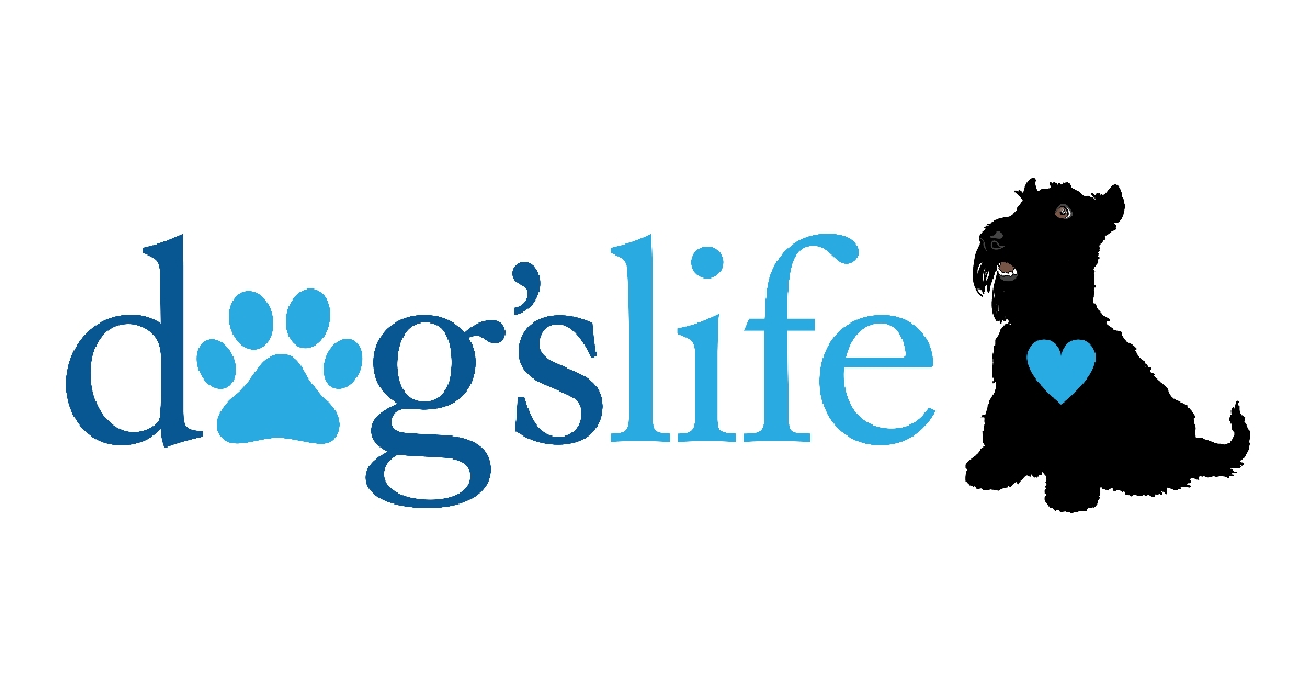 Carly Zuckerman - Miles For Mutts