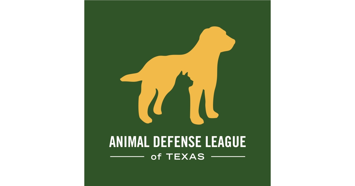 The Animal Defense League's Rescue Run: Participant Photos