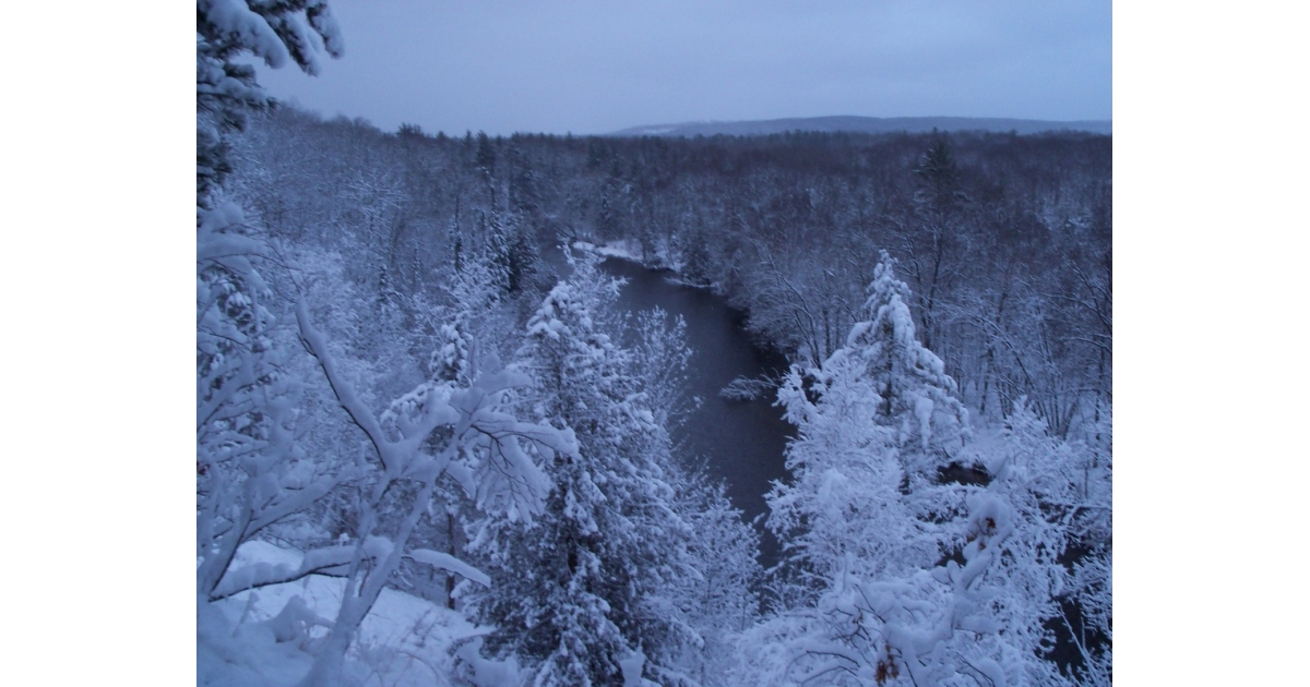 Springfield Winter Trail Run/Walk Results