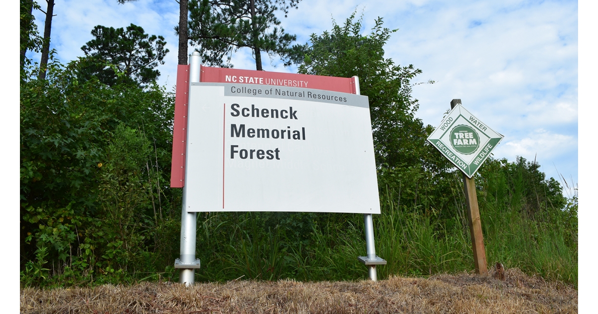 Schenck Forest Trail Race: Schenck Forest Pictures