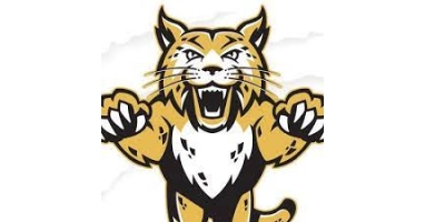 Run with the Bobcats 5K or 1 Mile