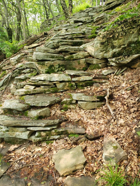 Lost Turkey Trail Races