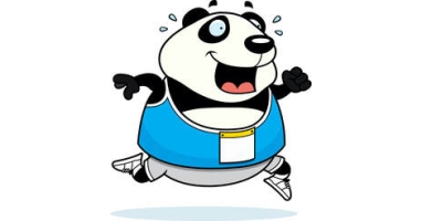 Panda 5K & 1K Fun Run