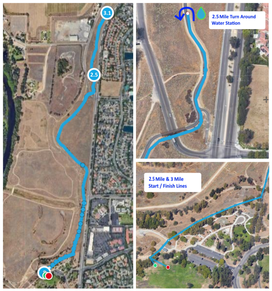 Juneteenth Freedom Run/Walk