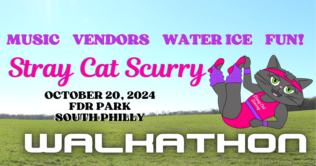 Alex Deyo - Stray Cat Scurry