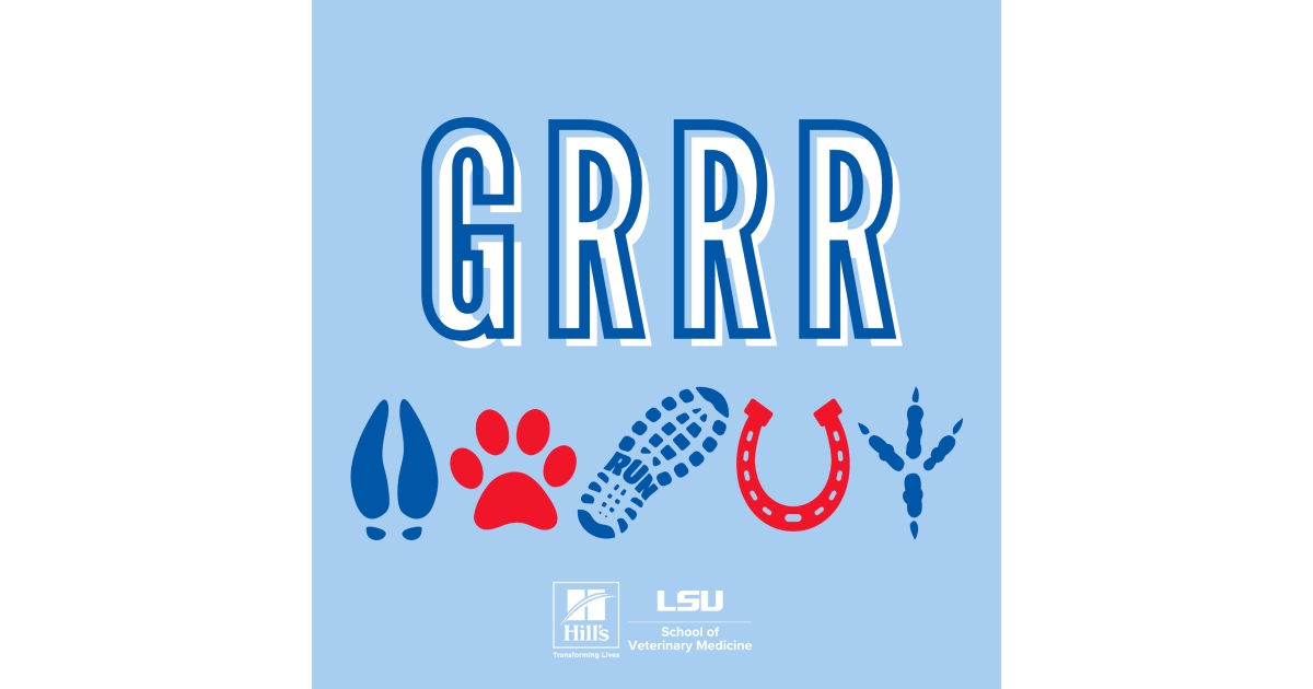 2025 Hill's Great Rover Road Run