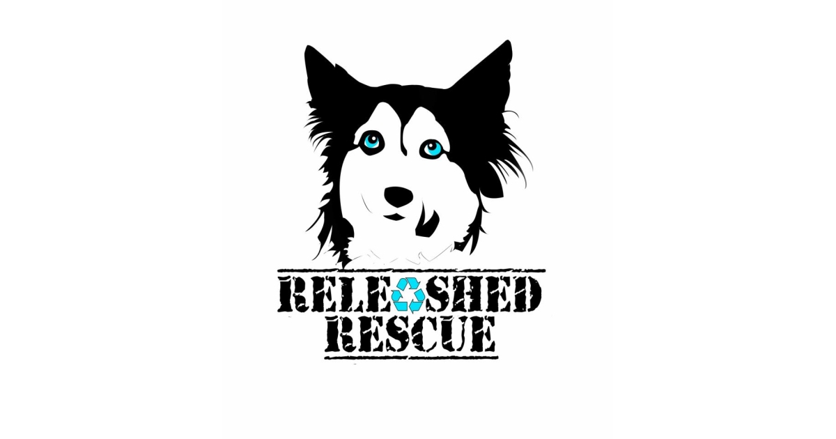Releashed Rescue Virtual Dog Walk