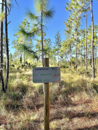 Operation Outdoor Freedom Event