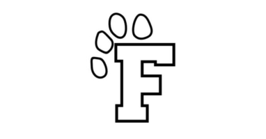 Fenton Tiger Run