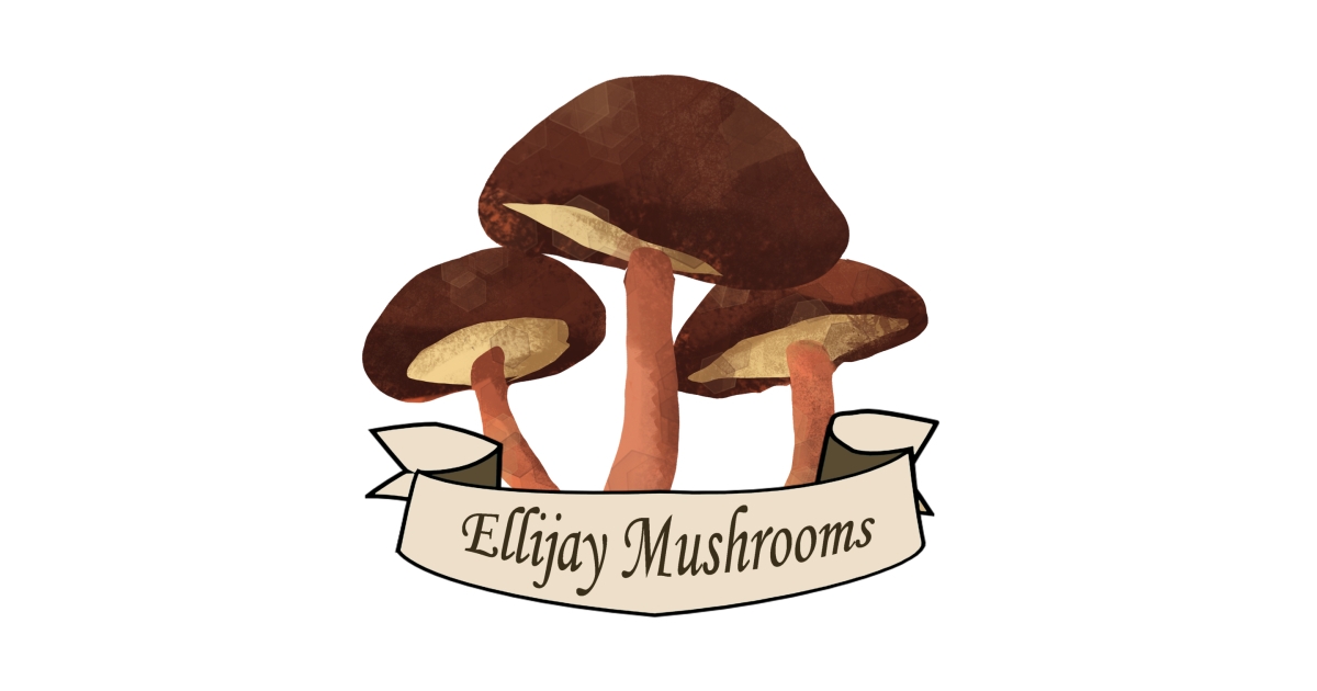 Ellijay Mushrooms Fungi 5K Run ThRoo the Roo