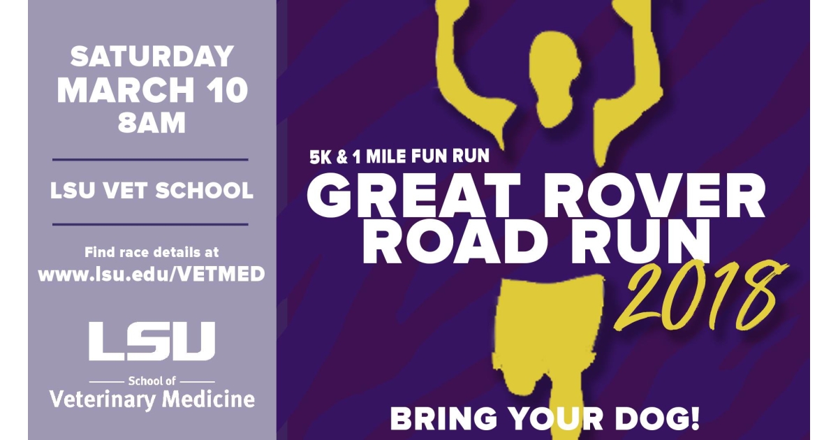 Hill's 25th Annual Great Rover Road Run