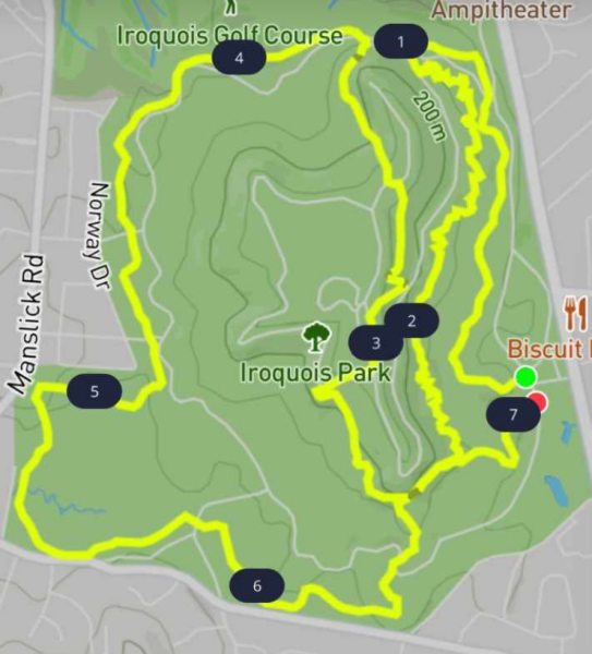 Kentucky Cryptid Series - Wolfman