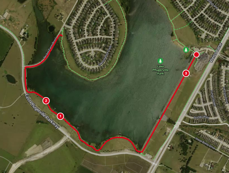 Shark Week Showdown 5K, 10K - Austin, TX