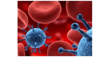 Sue Stull Sepsis 5K Fun Run/Walk