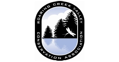 Hellbender 5k & Half Marathon