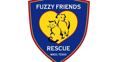 Fuzzy Friends Rescue Zombie Run 5K Run/ 1K Pet Walk