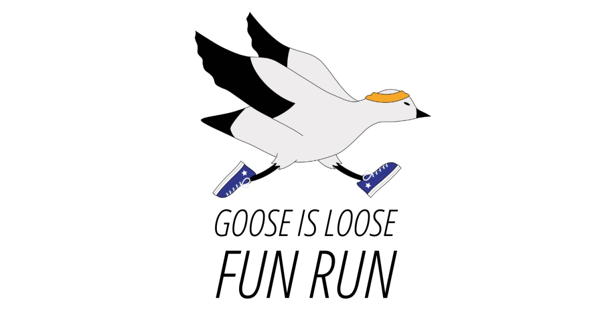 Stanwood Chamber The Goose is Loose 5K Fun Run Online Registration