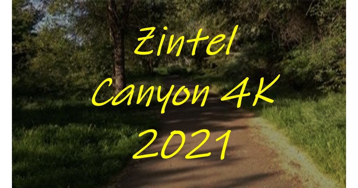 Zintel Canyon 4K Online Registration