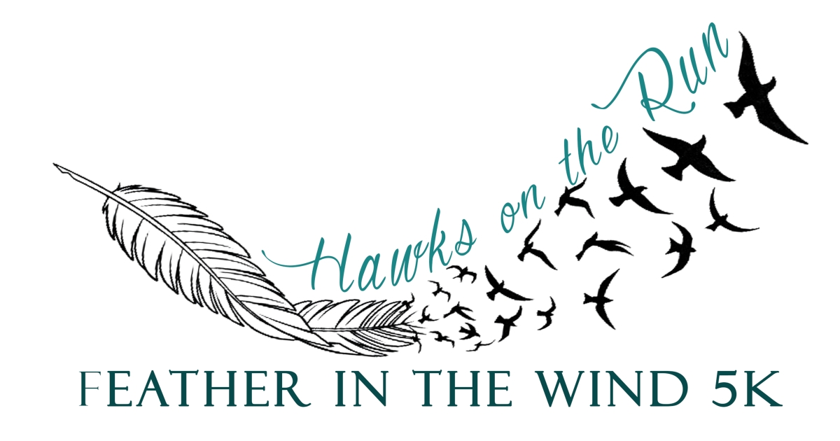 Feathers In The Wind