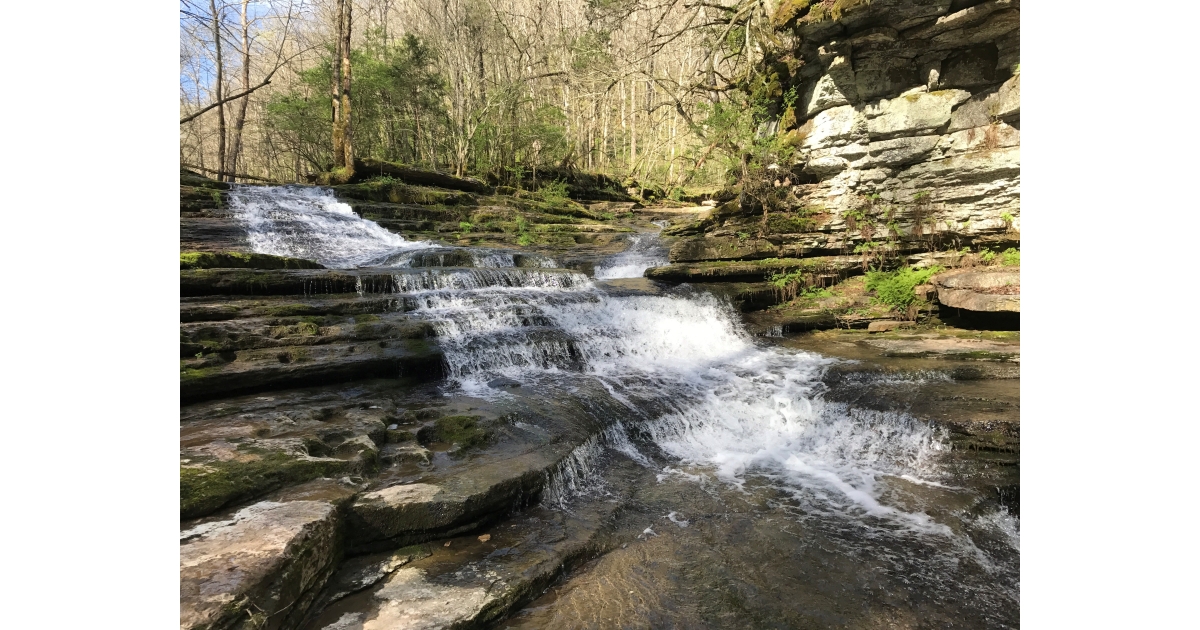 JRWS Winter Trail Series: Raven Run, 1/14