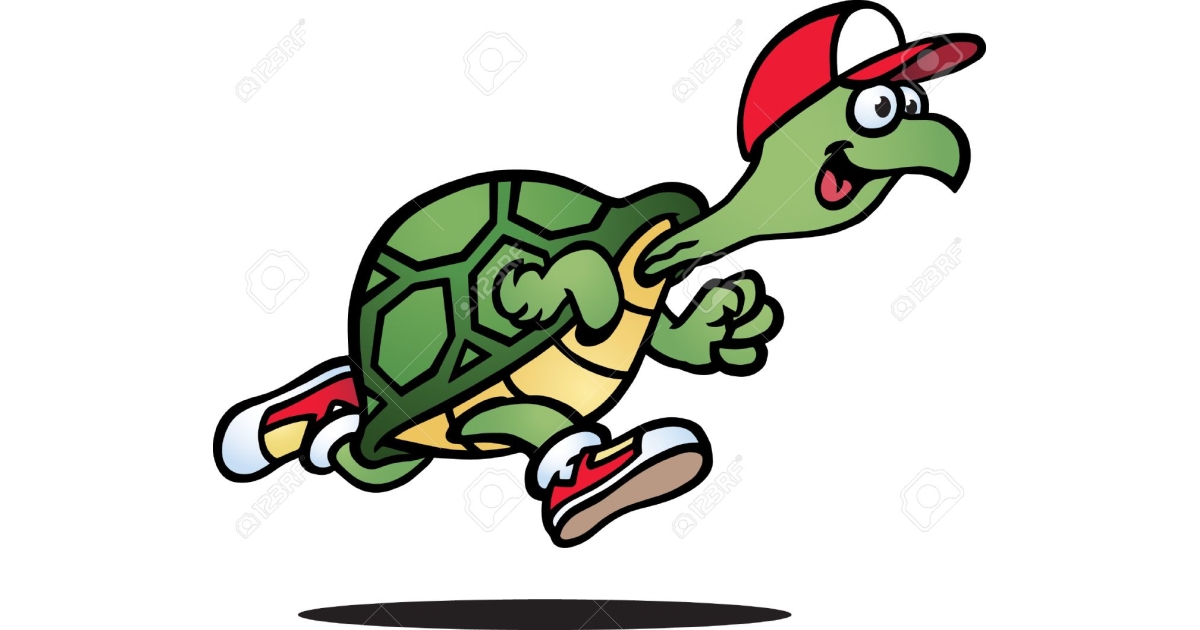 Turtle Trot 10K and Relay