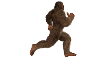 Chasing Bigfoot 5k Trail race