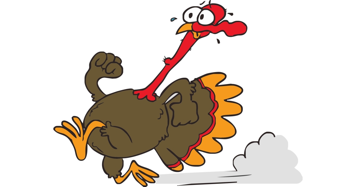 Gobble Hobble 4 mile Trail Run: RaceDay Photos