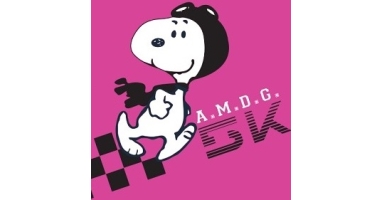 Run! Run! Snoopy! 5k