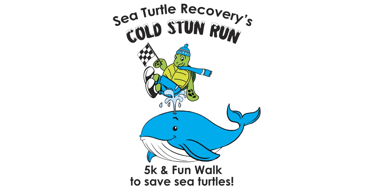 Sea Turtle Race: Cold Stun Run - Participant Tracking
