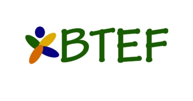 Run into Summer 5k and Kids Races