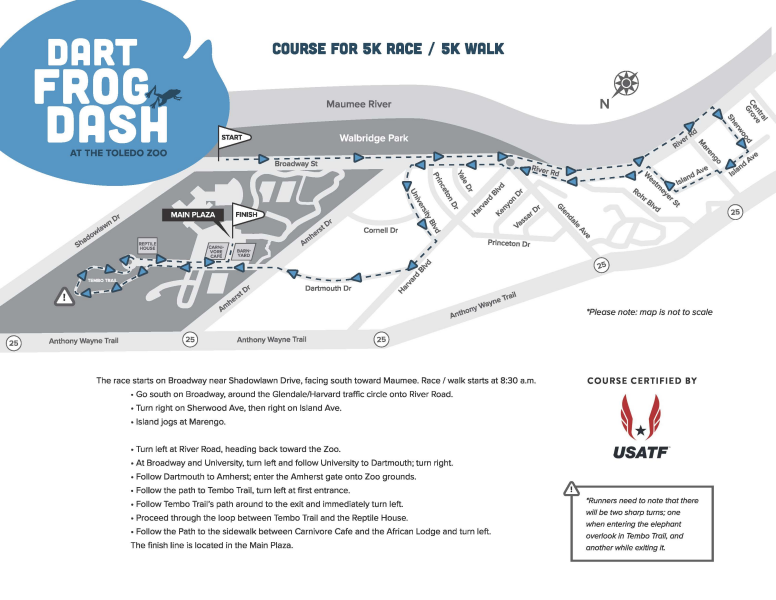 Toledo Zoo Dart Frog Dash