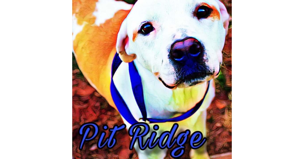 Pit Ridge Virtual Fund Walk/Run/Bike