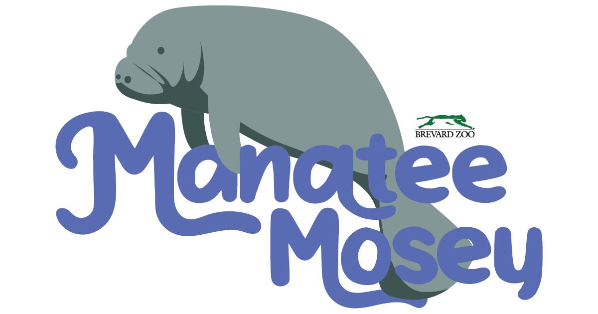 Brevard Zoo's Coati Crawl 3K