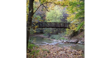 Duff Park Hill Buster: Murrysville Parks Department