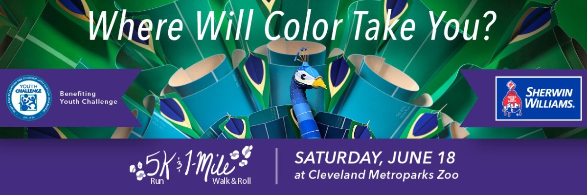 Where Will Color Take You?