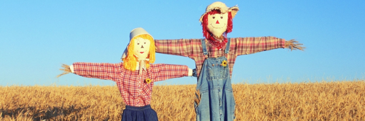 Scarecrow Shuffle 8k, 5k, 2 Mile Fun Run & 1/2 Mile Kids' Run