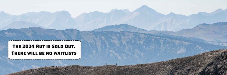 The Rut Mountain Runs