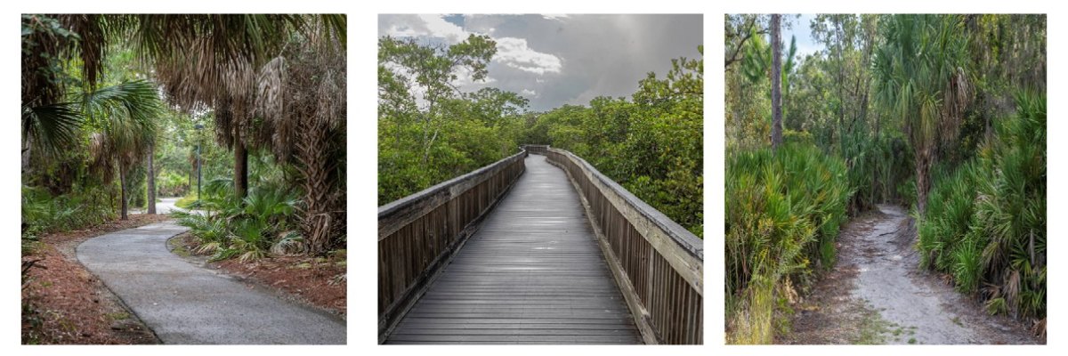Gopher Weedon Trail Run