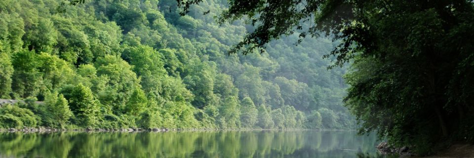 Conquer the Canyon Marathon Race Festival: Marathon, Half Marathon, 10K ...