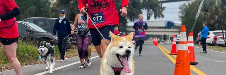 Chasing Tail 5k and VyStar Valentine Fun Run