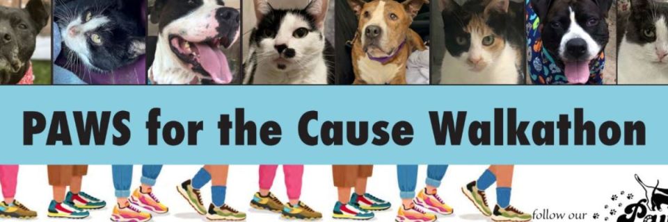 PAWS for the Cause Walkathon