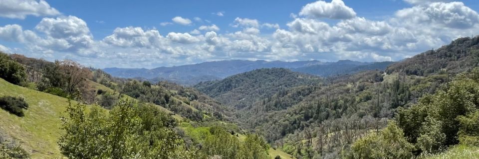 38th Annual Boontling Classic