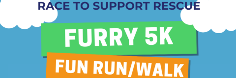 Furry 5K Fun Run: Race to Rescue