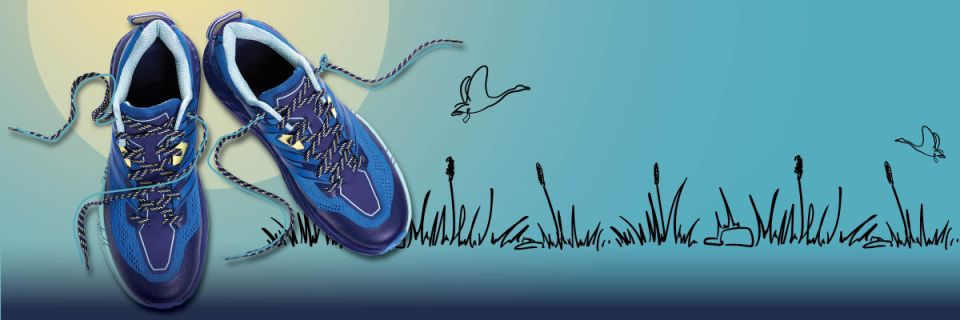 Palo Alto Weekly Moonlight Run & Walk