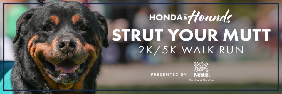 Strut Your Mutt 2k/5k