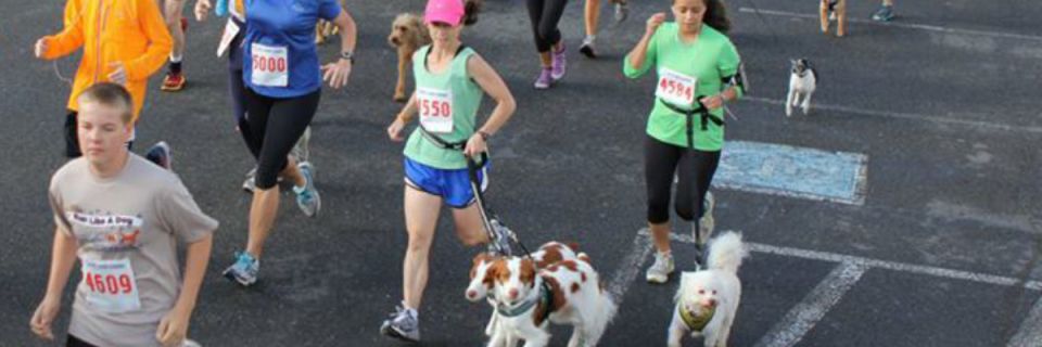 CANCELED: Labor Day 5K Fur Run