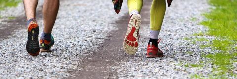 Woolley Trail Runs