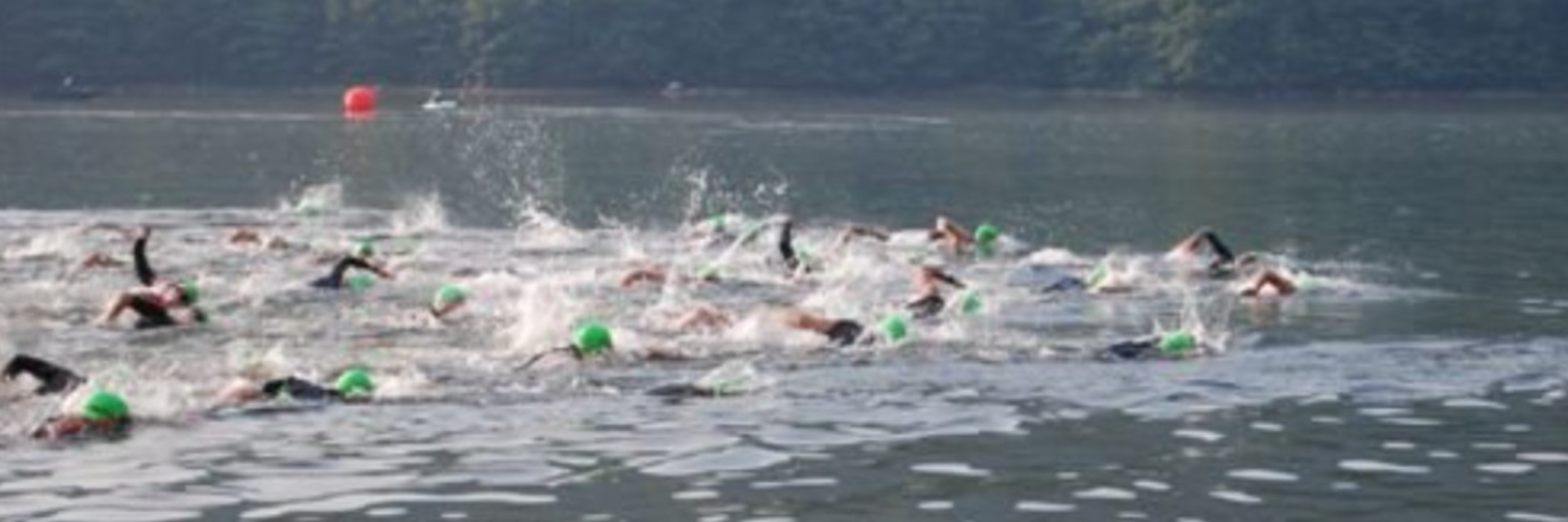Barracuda Open Water Swim Races